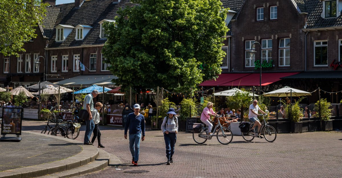 Grip krijgen op het realiseren van een toekomstvisie met systeemdenken | Goudappel